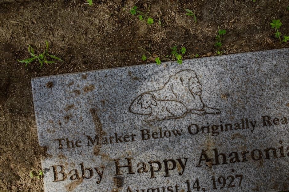 Explore Sizzling DDD PDF Downloads – Your Ultimate Collection!